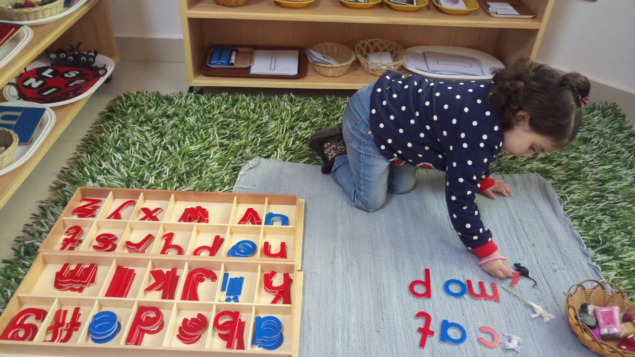 Phone number kiddy-educational-corner-nursery